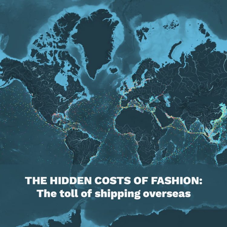 Environmental Costs of Shipping in the Fashion Industry: Unveiling the ...